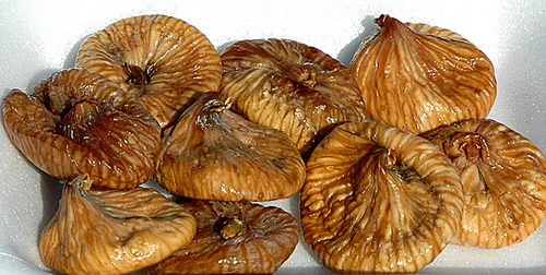 A land of fig trees | Ferrell's Travel Blog
