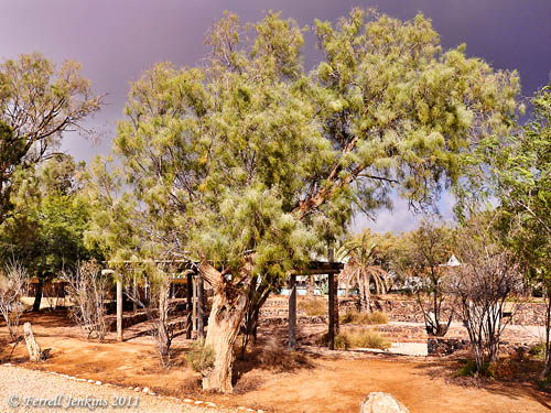 23 | June | 2011 | Ferrell's Travel Blog