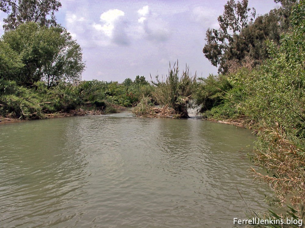 Transporting cedars for the temple | Ferrell's Travel Blog