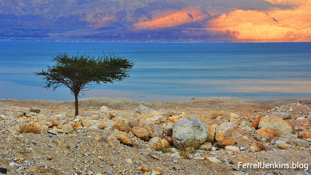 The Beauty of the Bible Land | Ferrell's Travel Blog