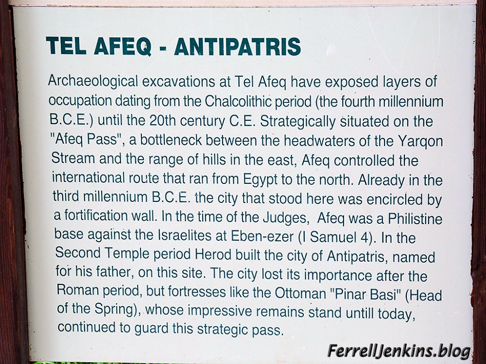 Aphek: Philistines prepare to battle Israel | Ferrell's Travel Blog