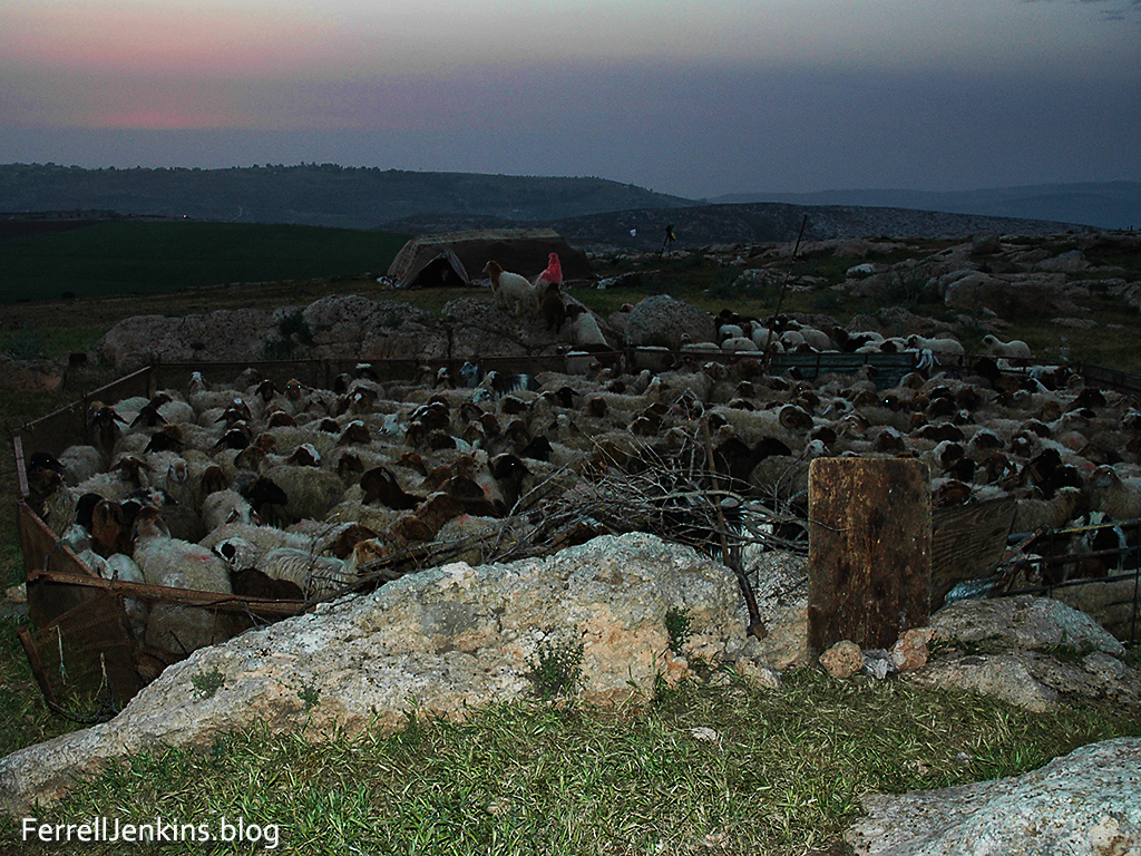 Articles on Bethlehem and the birth of Jesus | Ferrell's Travel Blog